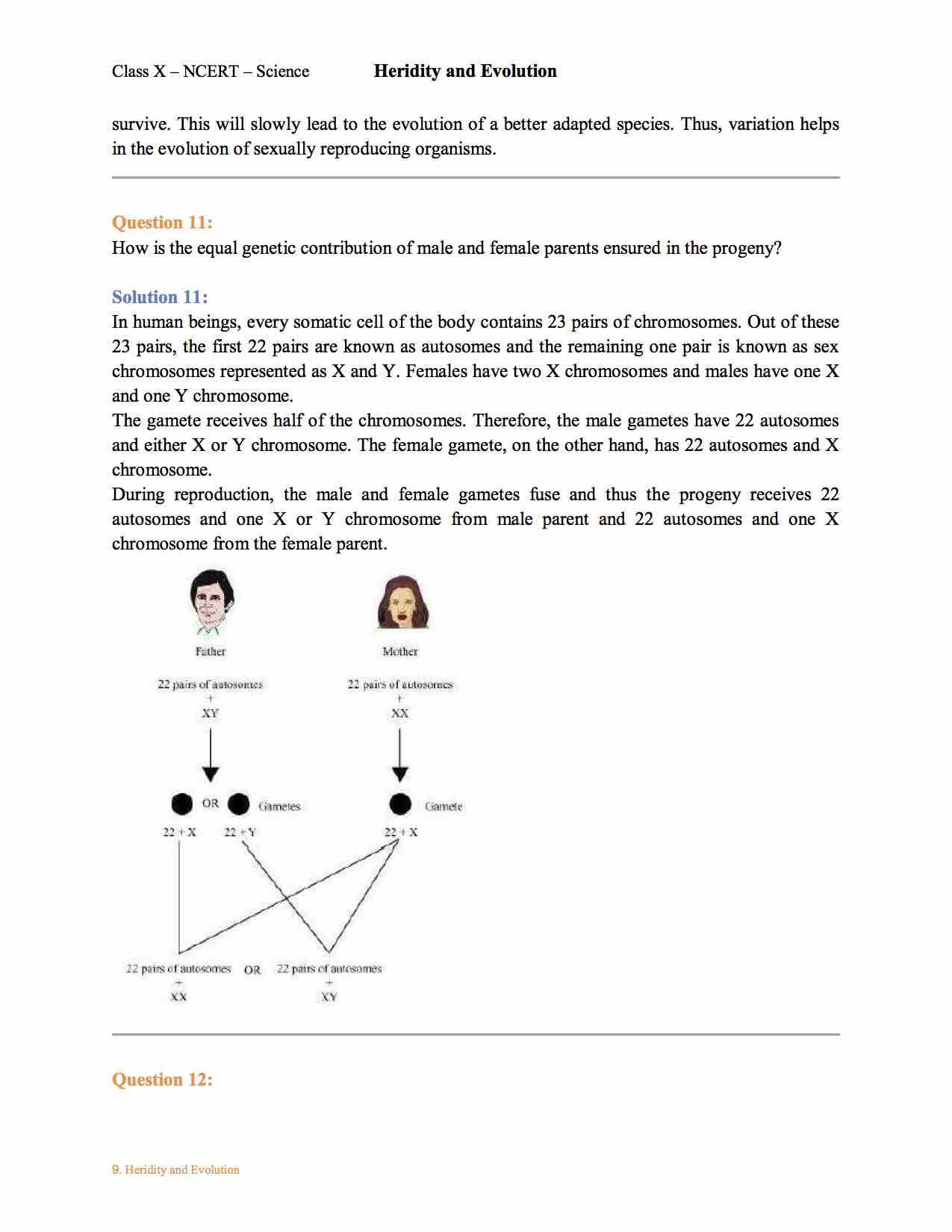 Ncert Solution For 10 Class Science Chapter 9 Heredity And Evolution